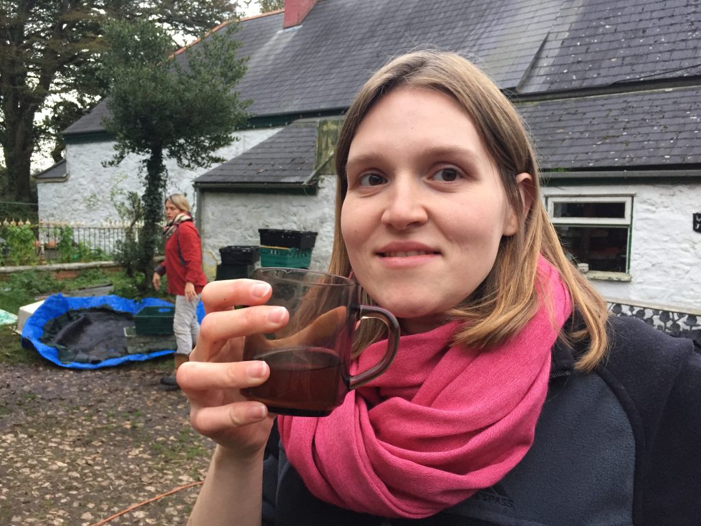 Our Visit to Cornwall | Look at out World